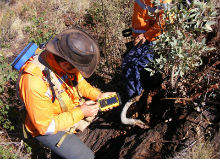 Ironbark Heritage and Environment - Mining Technology