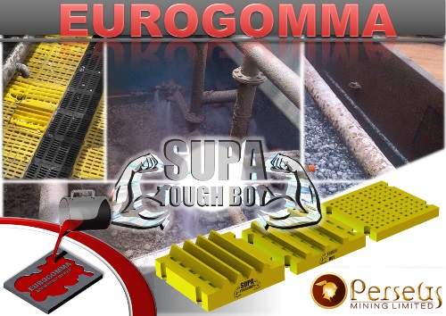 Mill Discharge Screen at Perseus Gold Mining - Mining Technology