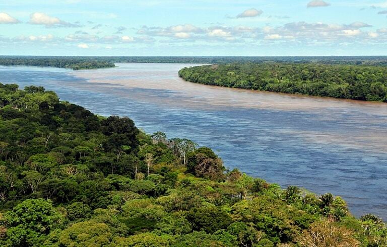 Illegal gold mining destroying Amazon rainforest, new study reveals