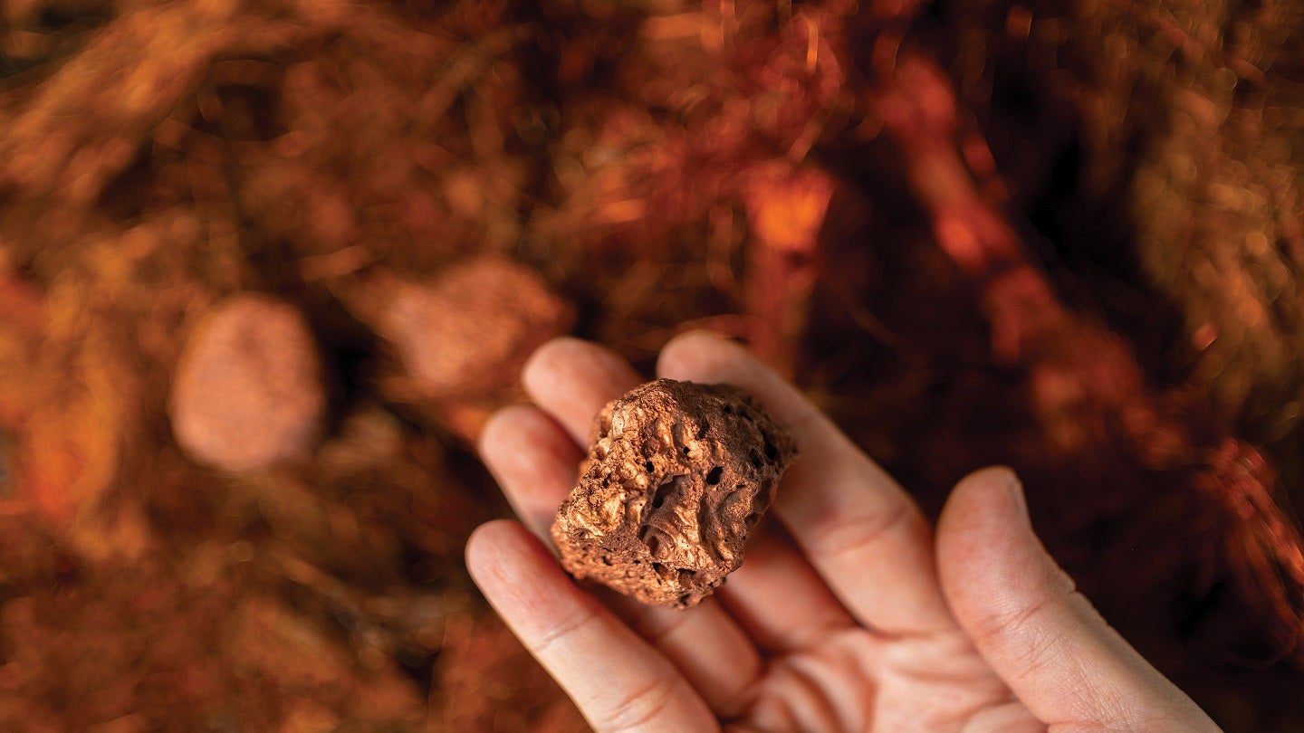 Alma Metals gains 51% Briggs Copper stake in Queensland