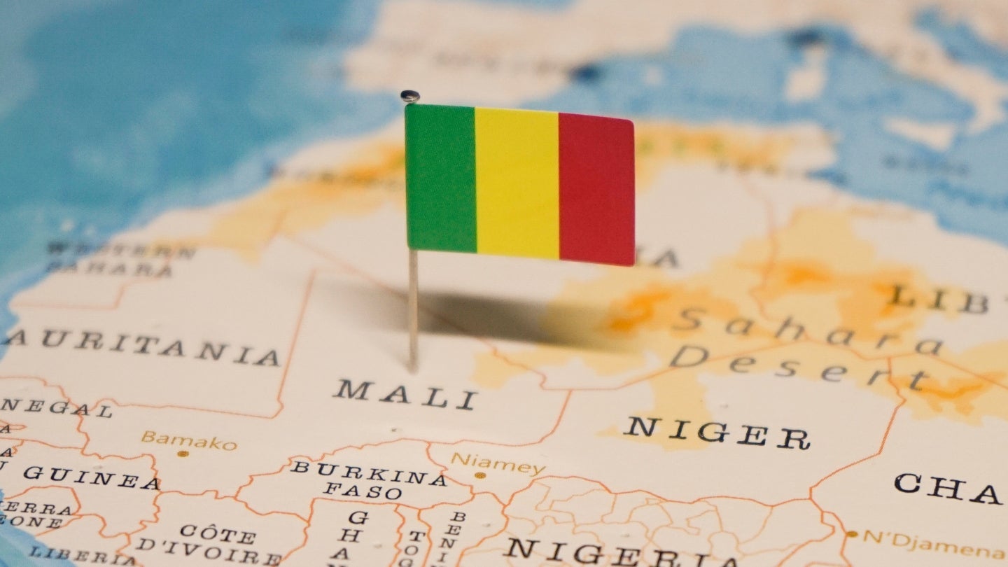 Mali's new mining law needs review to attract investment, CEOs say